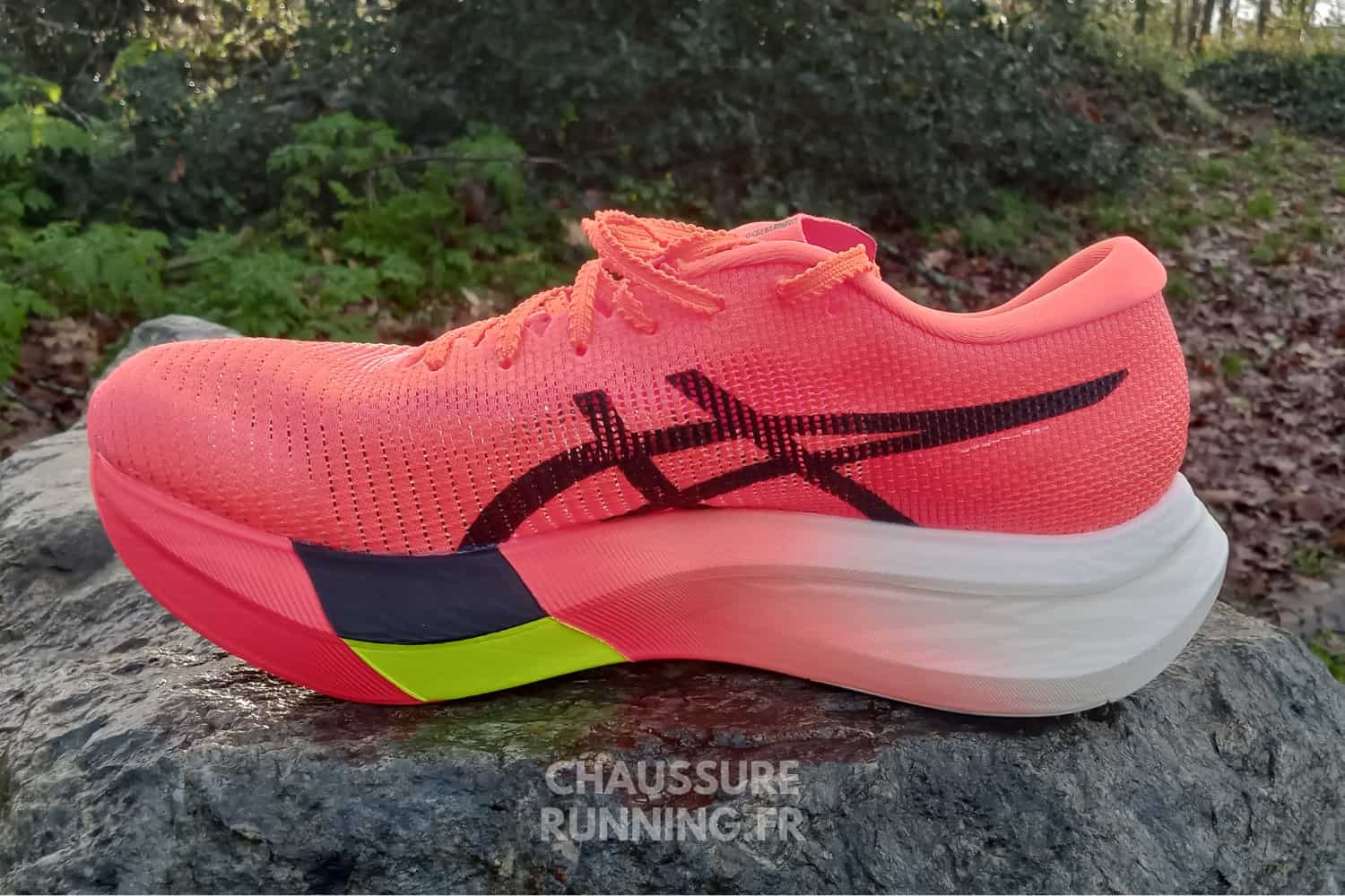 Asics Metaspeed Sky Paris (test 2024) : la reine carbone