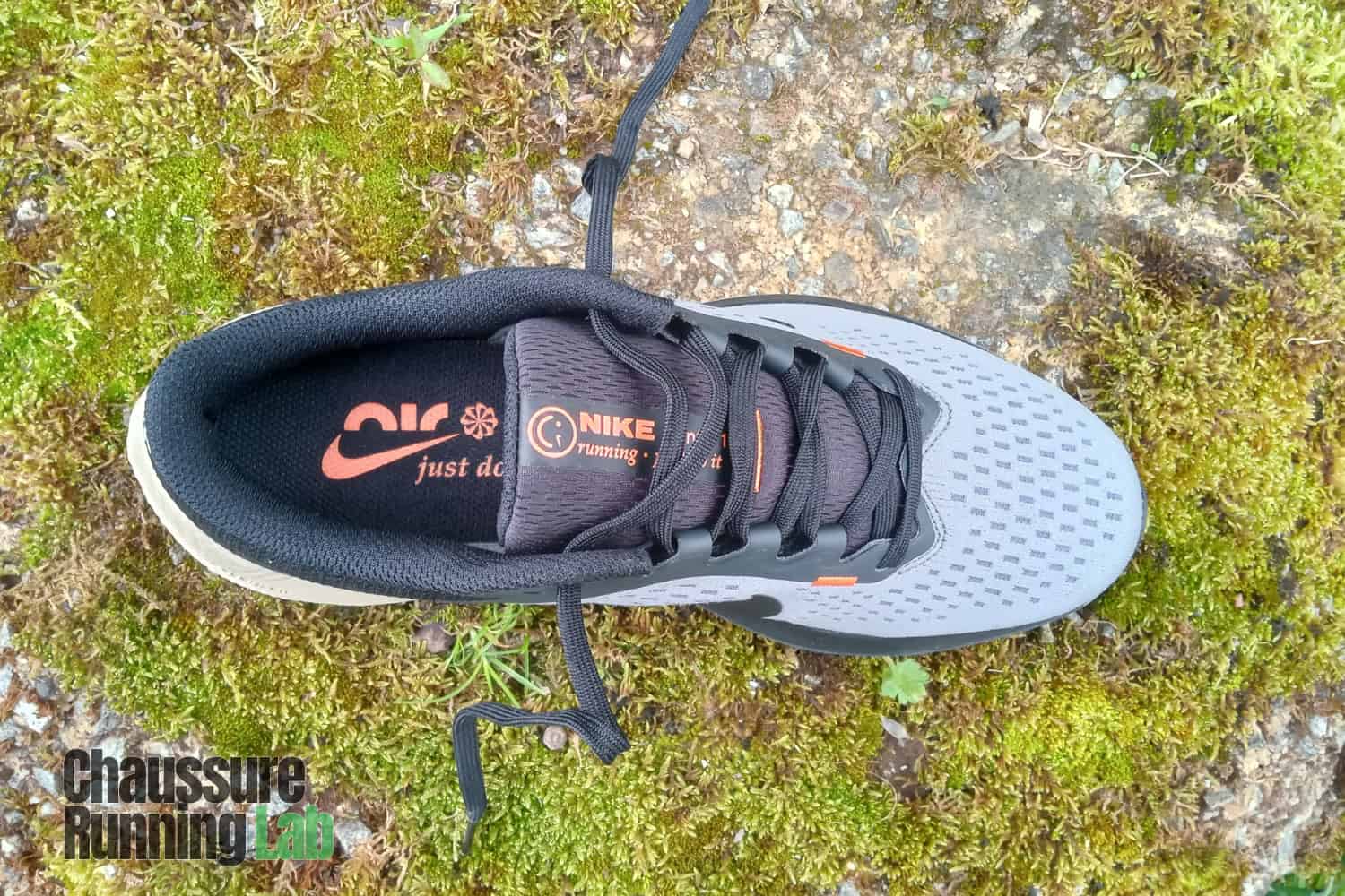 Nike Air Winflo 10 (test 2024) : le top en entrée de gamme