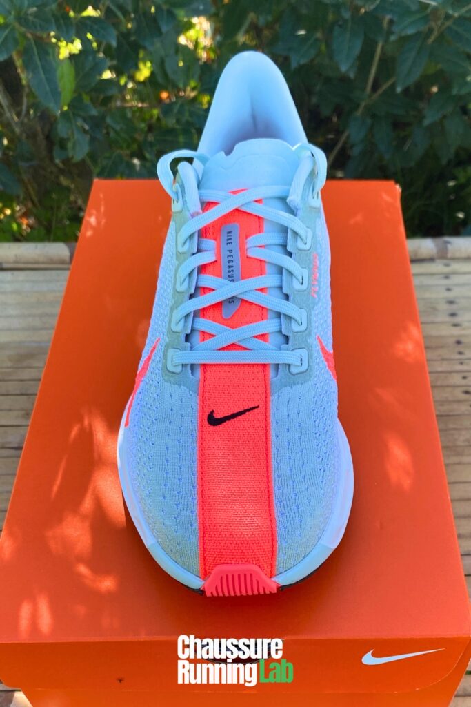 Nike Pegasus Plus (test 2024) : le retour de la Turbo